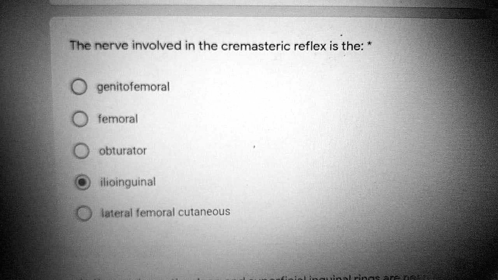 SOLVED: The nerve involved in the cremasteric reflex is the ...