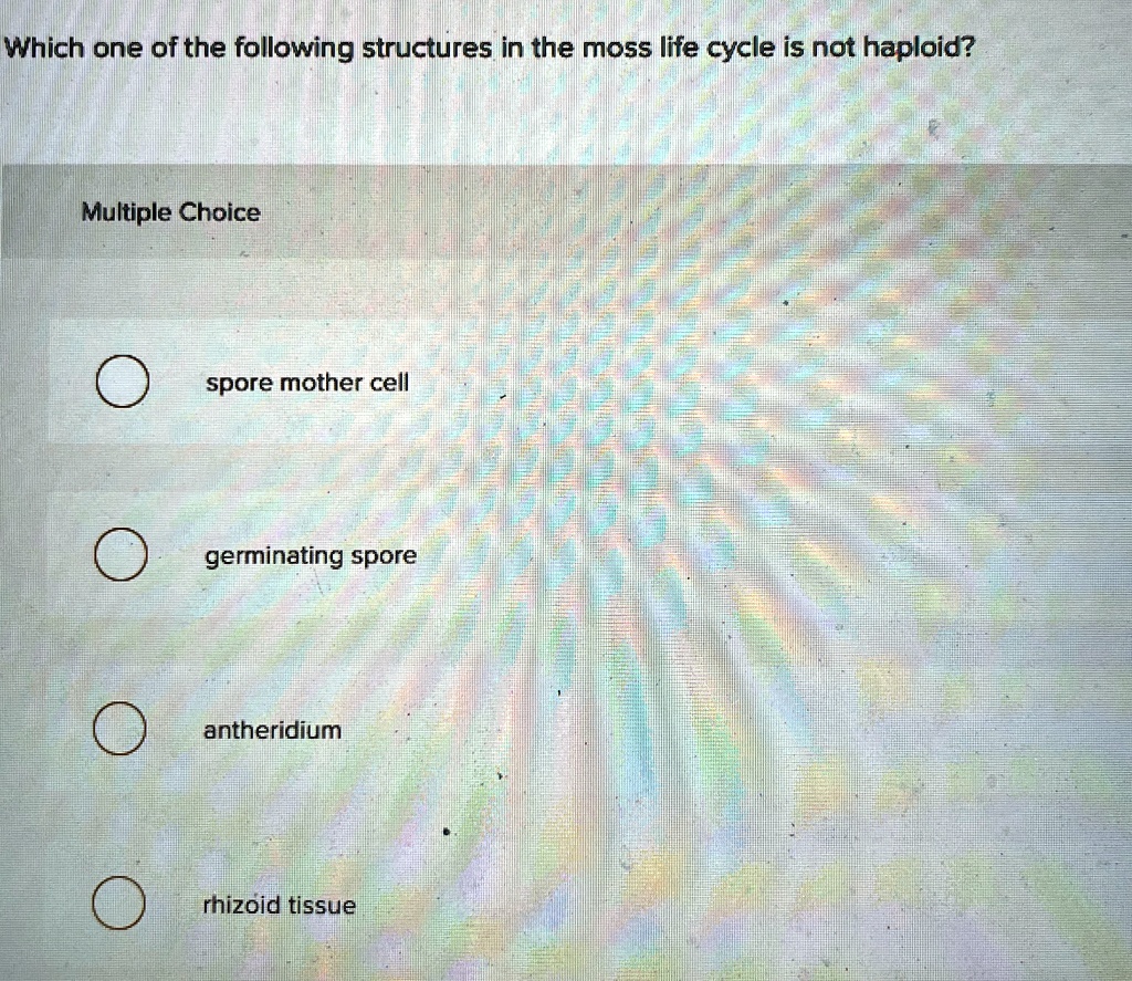 Which one of the following structures in the moss life cycle is not ...