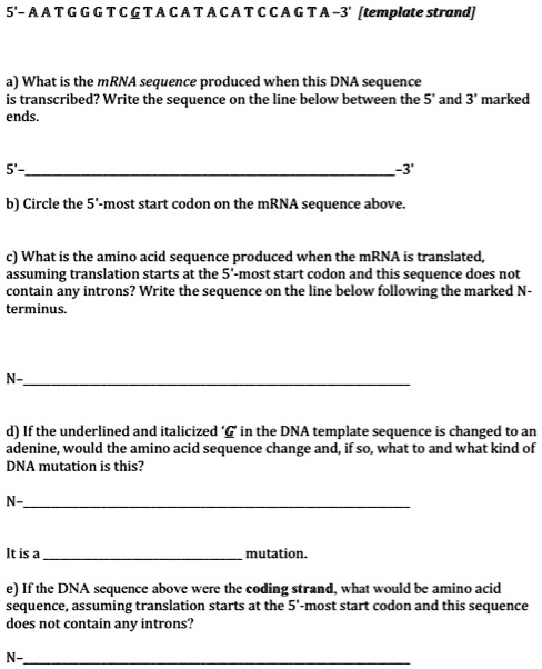 SOLVED: Text: 5'-ATGGGTCGTACATACATCCAGTA-3' [template strand] a) What ...