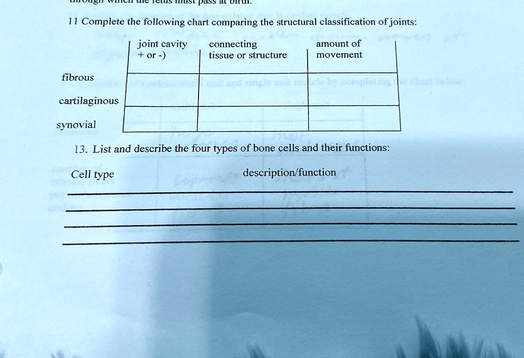VIDEO solution: 11 Complete the following chart comparing the structural classification of ...