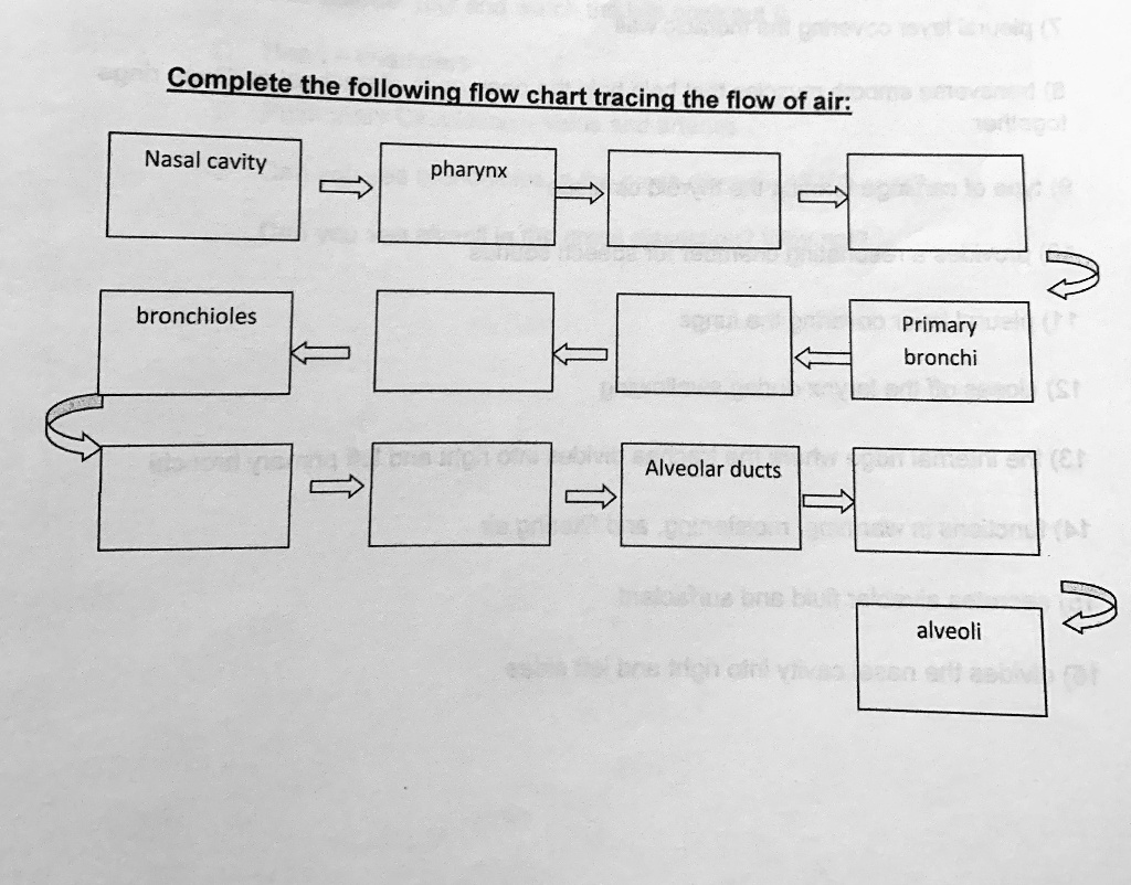 SOLVED: Complete the following flow chart tracing the flow of air ...