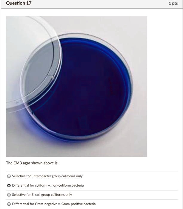 SOLVED: The EMB agar shown above is: Selective for Enterobacter group ...