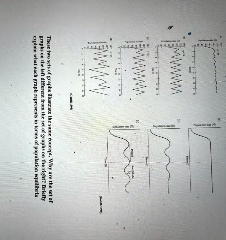 SOLVED: Explain what each graph represents in terms of population ...