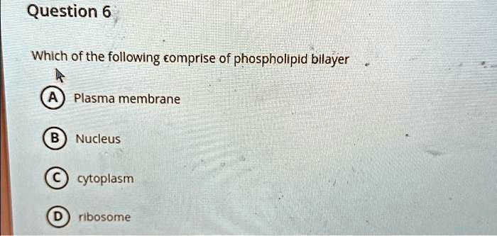 Question 6 Which of the following comprise of phospholipid bilayer A ...