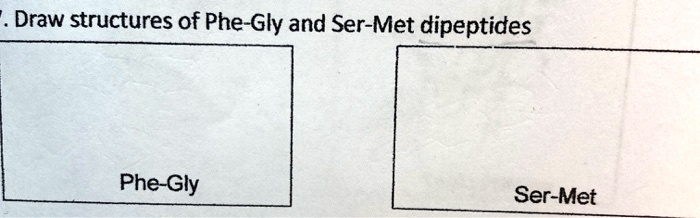 SOLVED: Draw structures of Phe-Gly and Ser-Met dipeptides Phe-Gly Ser-Met