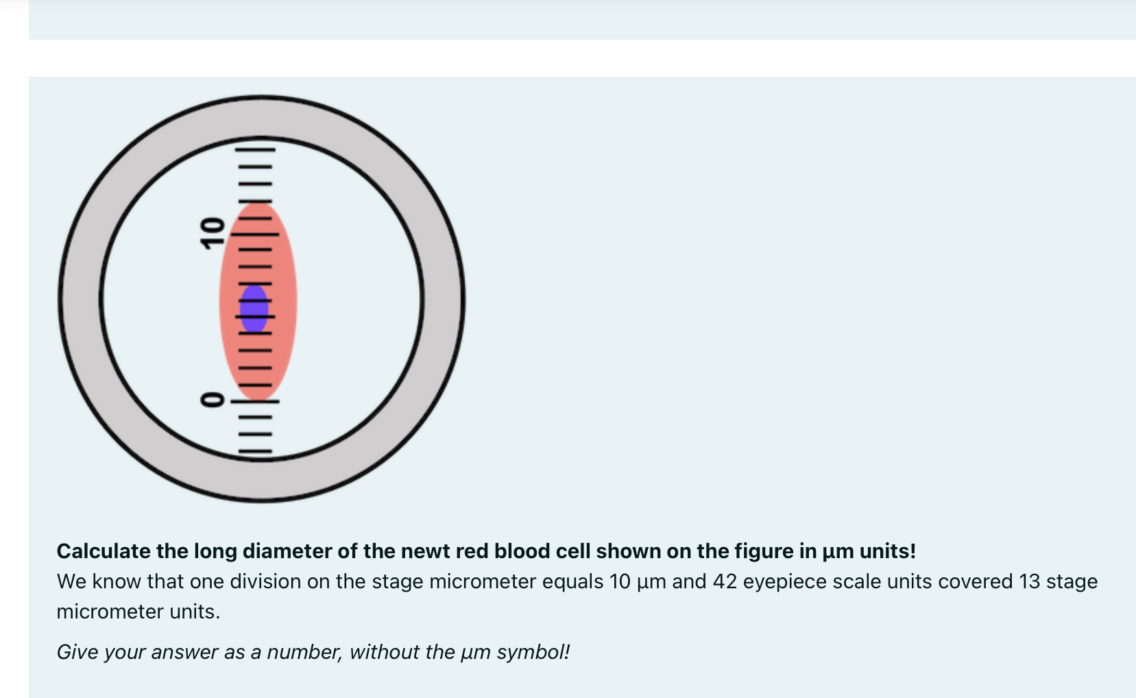 calculate the long diameter of the newt red blood cell shown on the ...