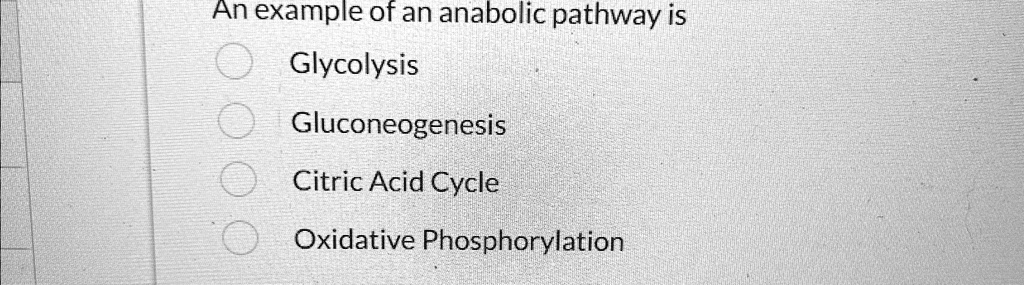 An example of an anabolic pathway is: - Glycolysis - Gluconeogenesis ...