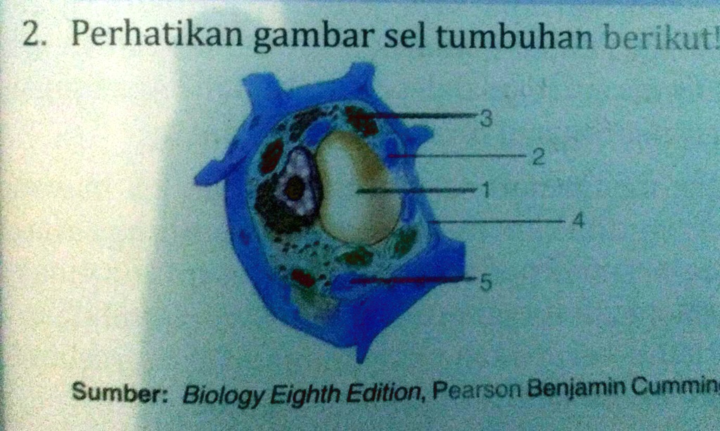 SOLVED: pernyataan yang benar mengenai bagian-bagian sel pada gambar ...