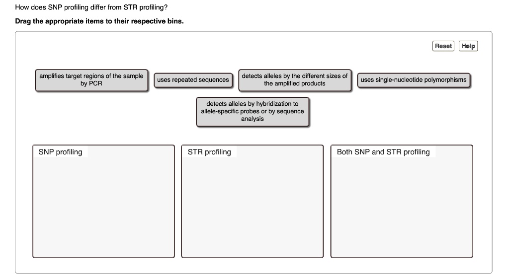 SOLVED: How does SNP profiling differ from STR profiling? Drag the ...