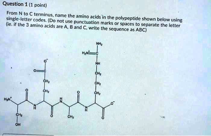 From N to C terminus, name the amino acids in the...