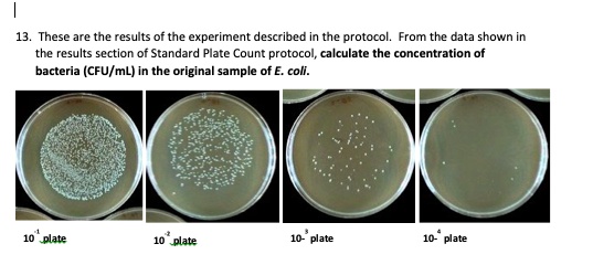 SOLVED: These are the results of the experiment described in the ...