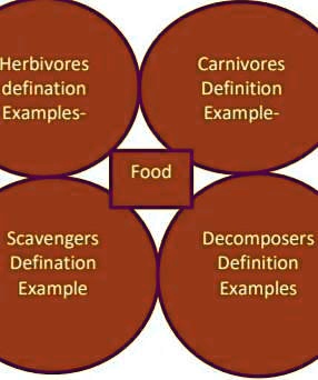 SOLVED: Depending upon the type of food, animals are classified as ...