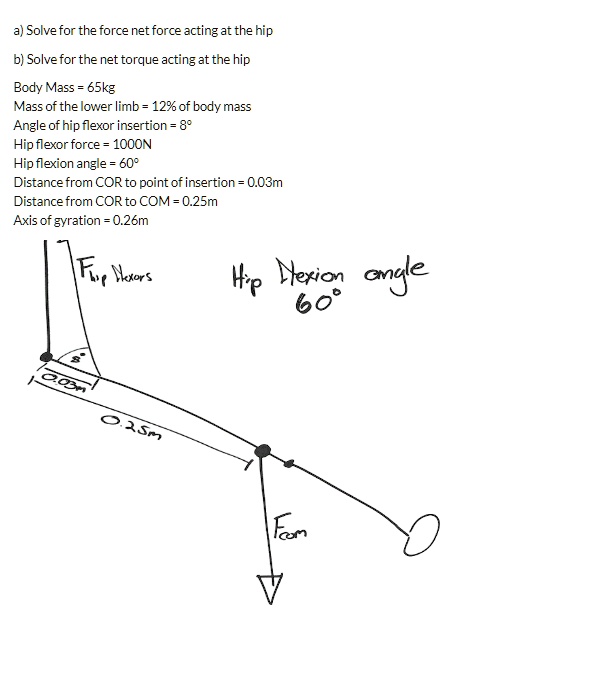 Solved A Solve For The Force Net Force Acting At The Hip B Solve For