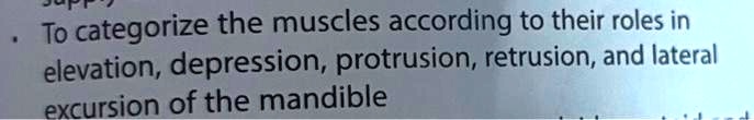 SOLVED: Elevation, depression, protrusion, retrusion, and lateral ...