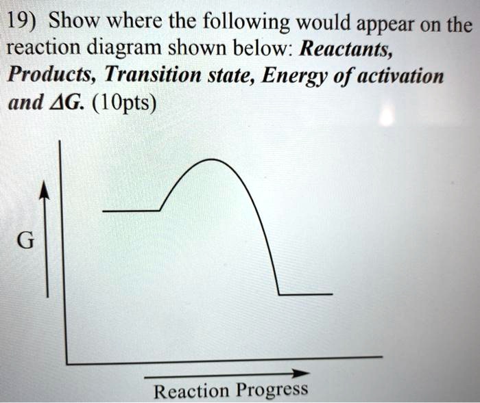 Solved 19 Show Where The Following Would Appear On The Reaction