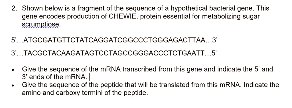 SOLVED: 2 Shown below is a fragment of the sequence of a hypothetical bacterial gene. This gene ...
