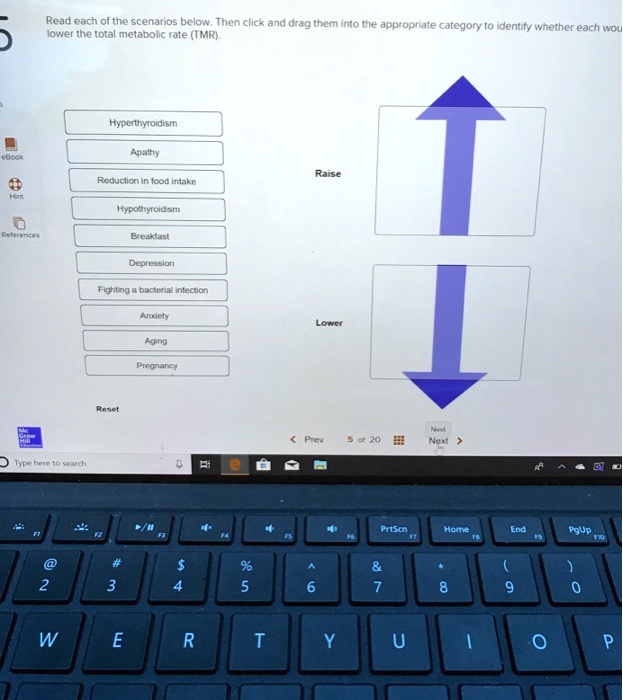 SOLVED: Read each of the scenarios below. Then click and drag them into the appropriate category ...