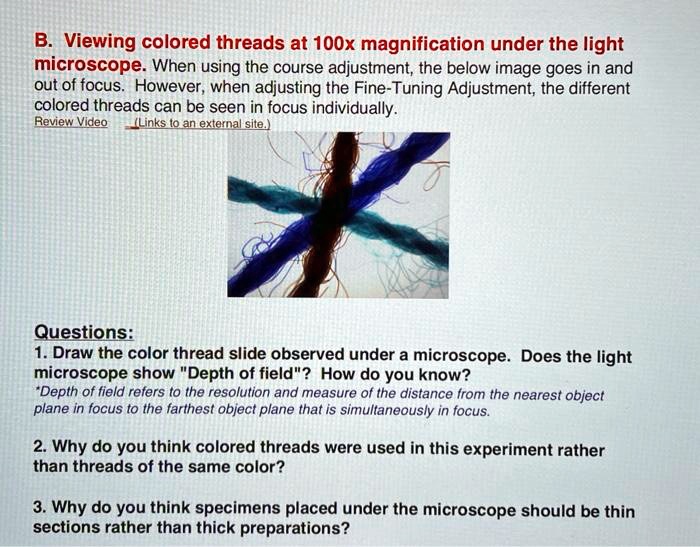 B viewing colored threads at 1oox magnification under the...
