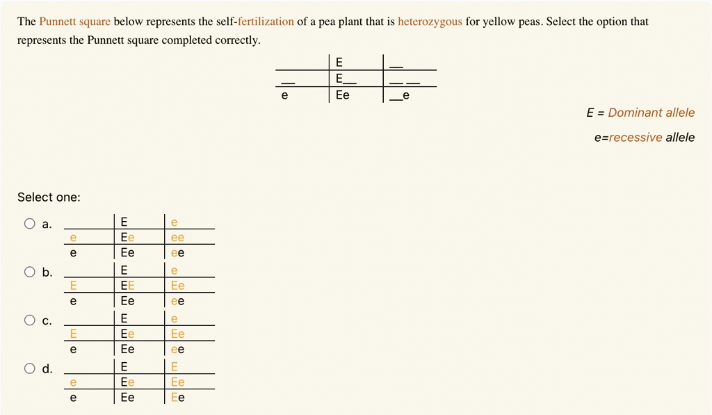 The Punnett square below represents the self-fertilization of a pea ...