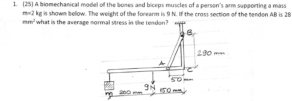 SOLVED: undefined 1. (25) A biomechanical model of the bones and biceps ...