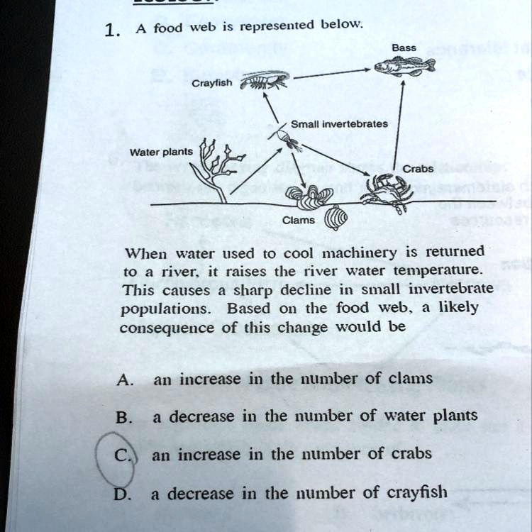 SOLVED: 'What is this answer? 1. A food web is represented below ...
