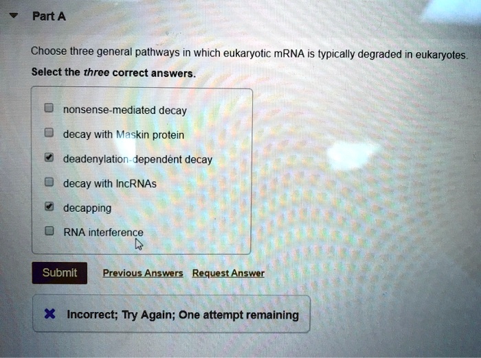 SOLVED: Part A Choose three general pathways in which eukaryotic mRNA ...