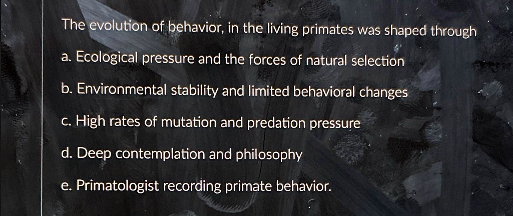 SOLVED: The evolution of behavior in living primates was shaped through ...