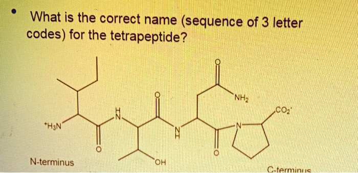 SOLVED: What is the correct name (sequence of 3-letter codes) for the ...