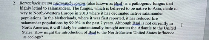 SOLVED: Batrachochytrium salamandrivorans (also known as Bsal) is a ...