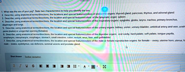 1. What was the sex of your pig? State two characteristics to help you ...