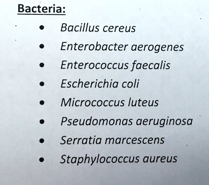 SOLVED: Bacteria: Bacillus cereus Enterobacter aerogenes Enterococcus ...
