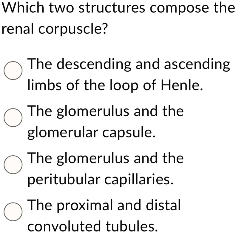 Which two structures compose the renal corpuscle? The descending and ...