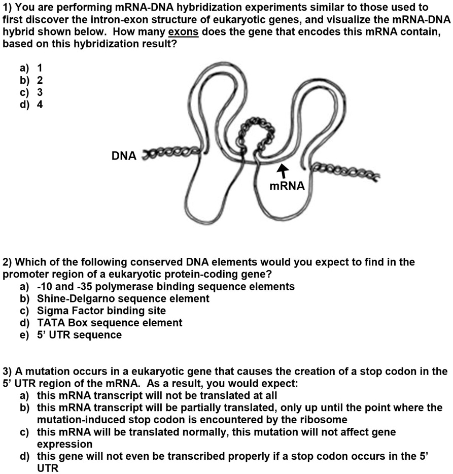 SOLVED: "1) You are performing mRNA-DNA hybridization experiments similar to those used to first ...