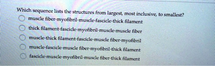 Which sequence lists the structures from largest, most inclusive, to smallest? muscle fiber ...