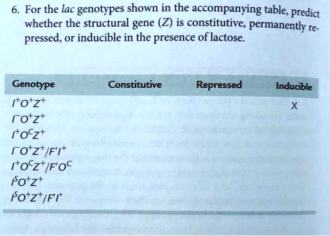 SOLVED: 6. For the lac genotypes shown in the accompanying table ...