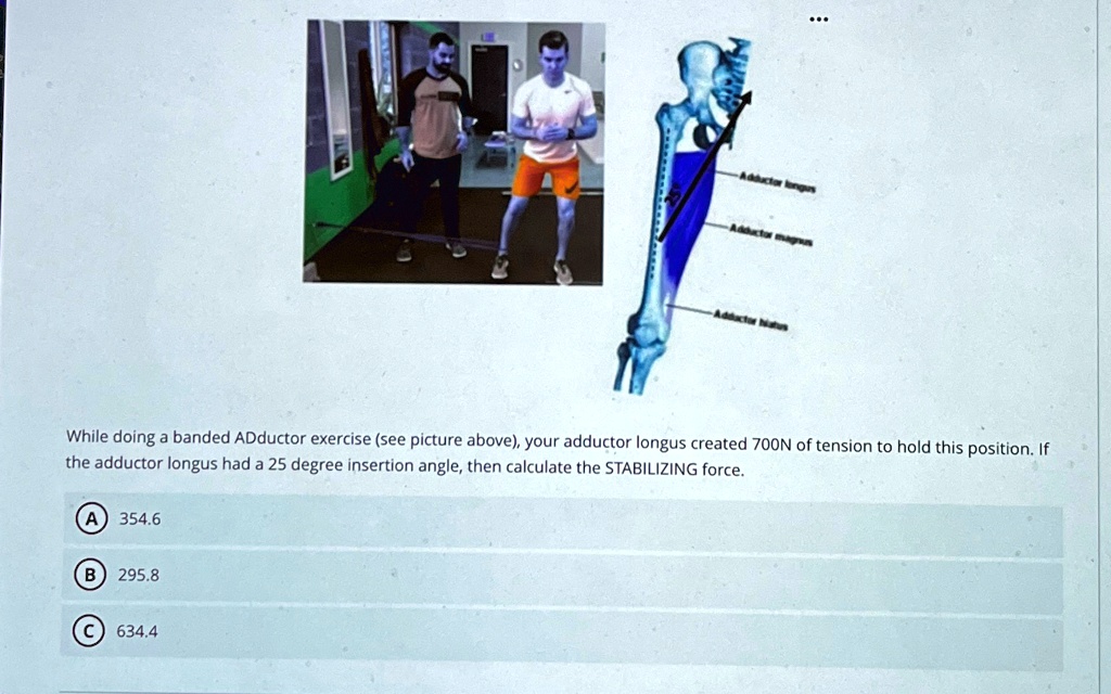 While doing a banded adductor exercise (see picture above), your ...