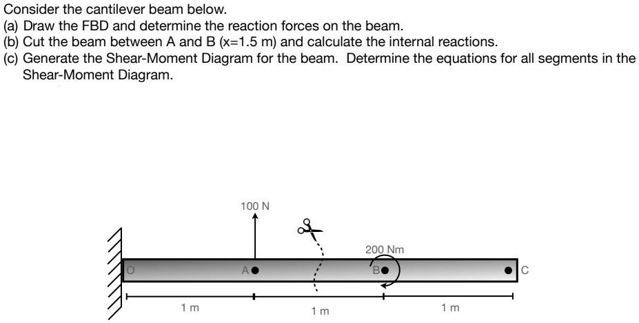 Consider the cantilever beam below. (a) Draw the FBD and determine the ...