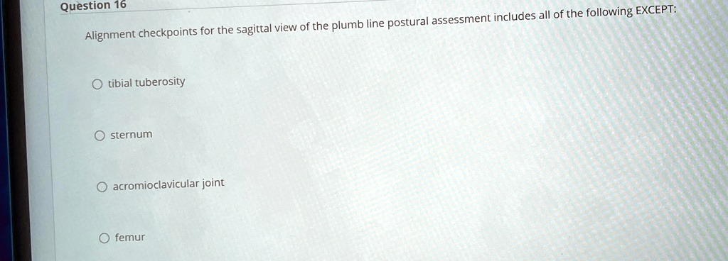 Question 16 Alignment checkpoints for the sagittal view of the plumb ...