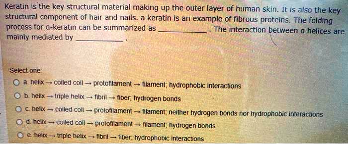 SOLVED: Keratin is the key structural material making Up the outer ...