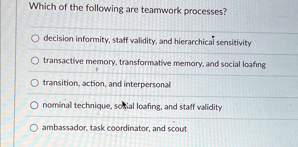 Which of the following are teamwork processes? O decision informity ...