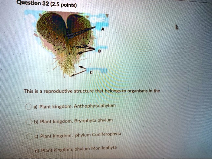 question 32 25 points this is a reproductive structure tnatibelongs to ...