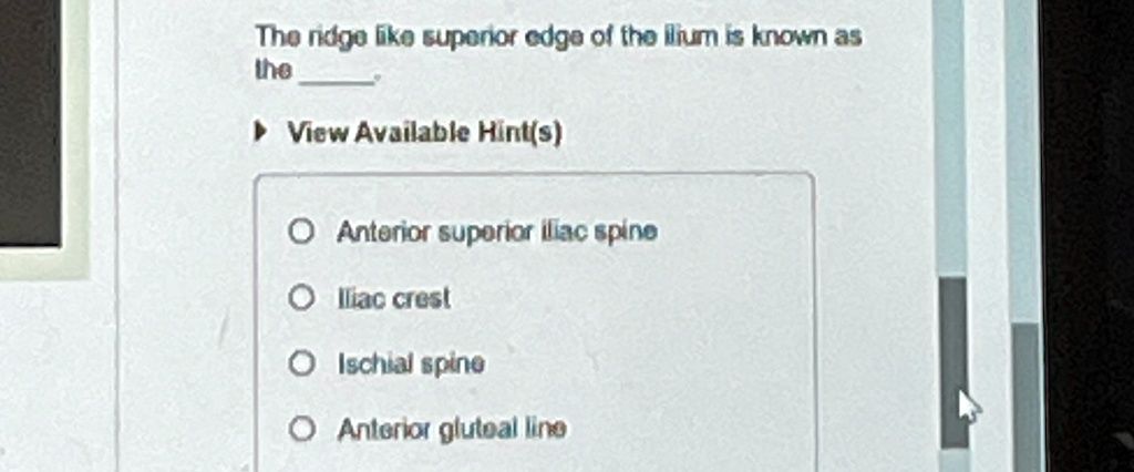 The ridge like superior edge of the ilium is known as the ? View ...