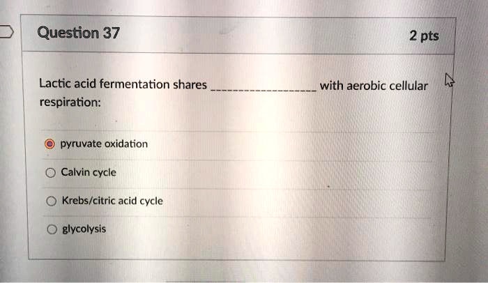 SOLVED: Question 37 2 pts Lactic acid fermentation shares respiration ...