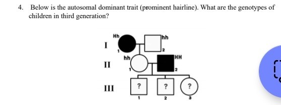 SOLVED: 4. Below is the autosomal dominant trait (prominent hairline ...