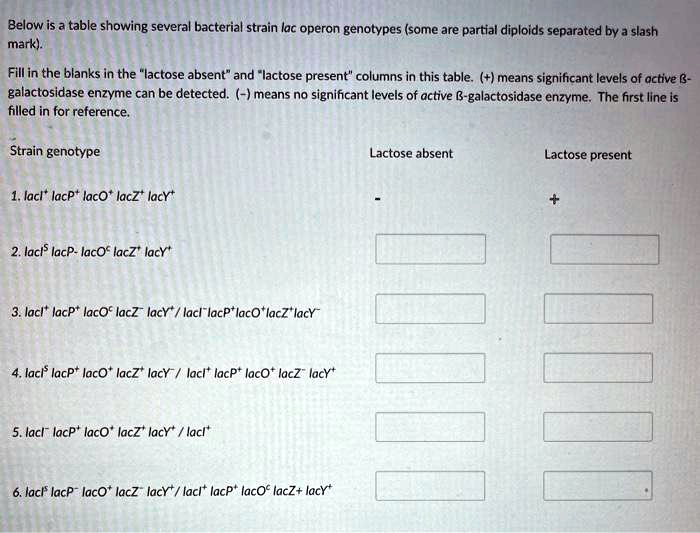 Below is a table showing several bacterial strain lac operon genotypes ...