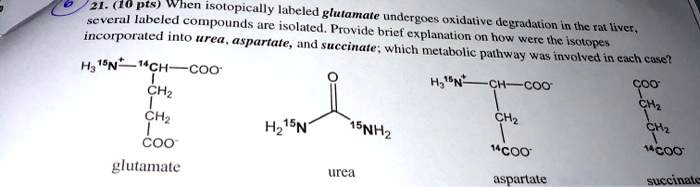 SOLVED: When isotopically labeled several labeled compounds are ...