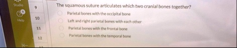the squamous suture articulates which two cranial bones together ...