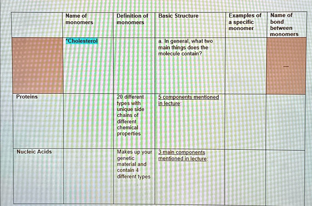 SOLVED: Four main classes of macromolecules: 1. Proteins - Name of ...