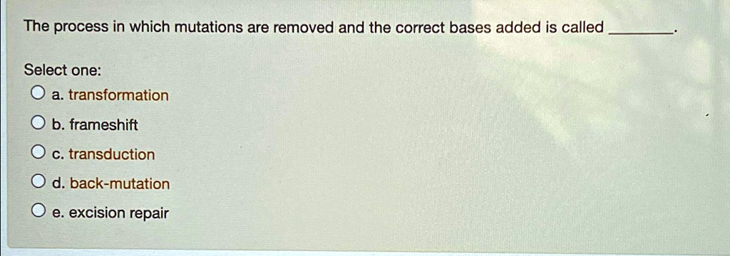 the process in which mutations are removed and the correct bases added ...