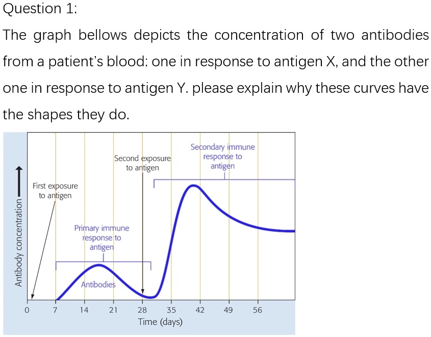 question 1 the graph bellows depicts the concentration of two ...